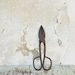 Hand Forged Iron Shears Short Blade Scissors - Etsy