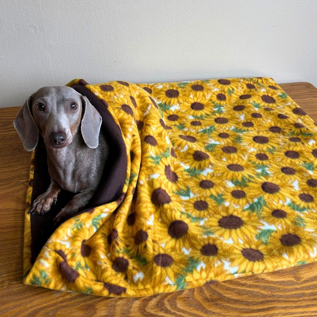 Sunflower Pet Snuggle Sack, Burrow Bag, Sleeping Bag, Snuggle Bag - Etsy