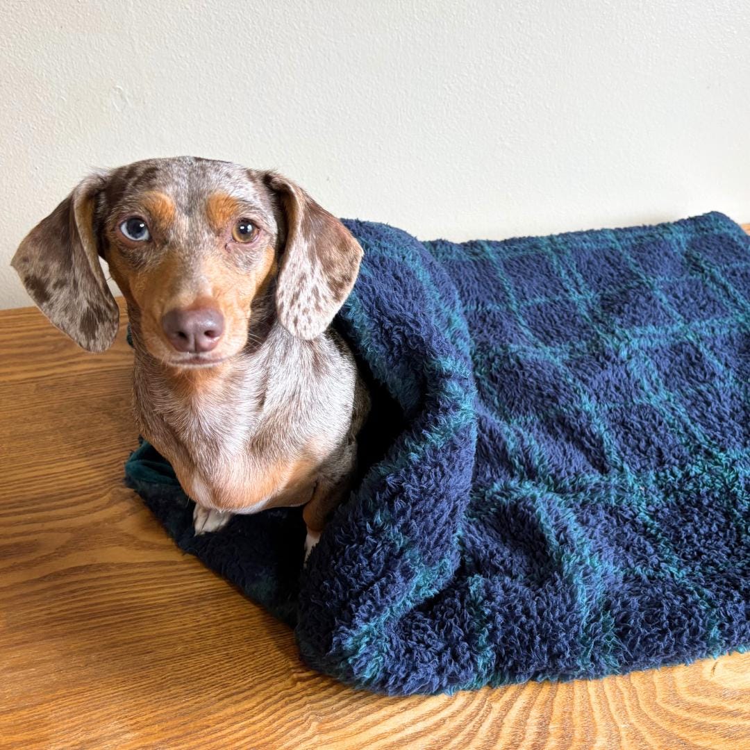 Navy and Teal Sherpa Pet Snuggle Sack, Burrow Bag, Sleeping Bag ...