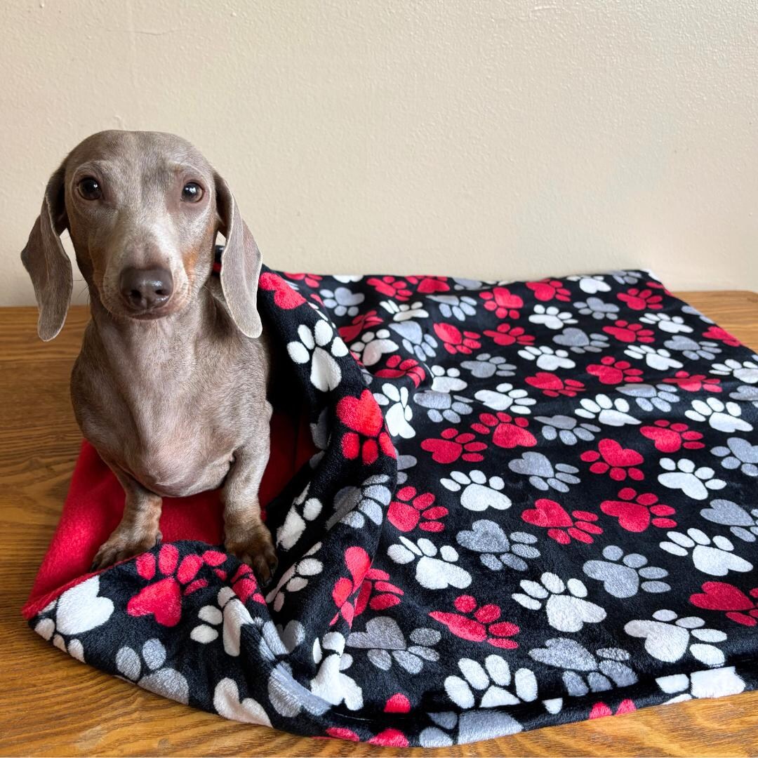Paw Print Pet Snuggle Sack, Burrow Bag, Sleeping Bag, Snuggle Bag - Etsy