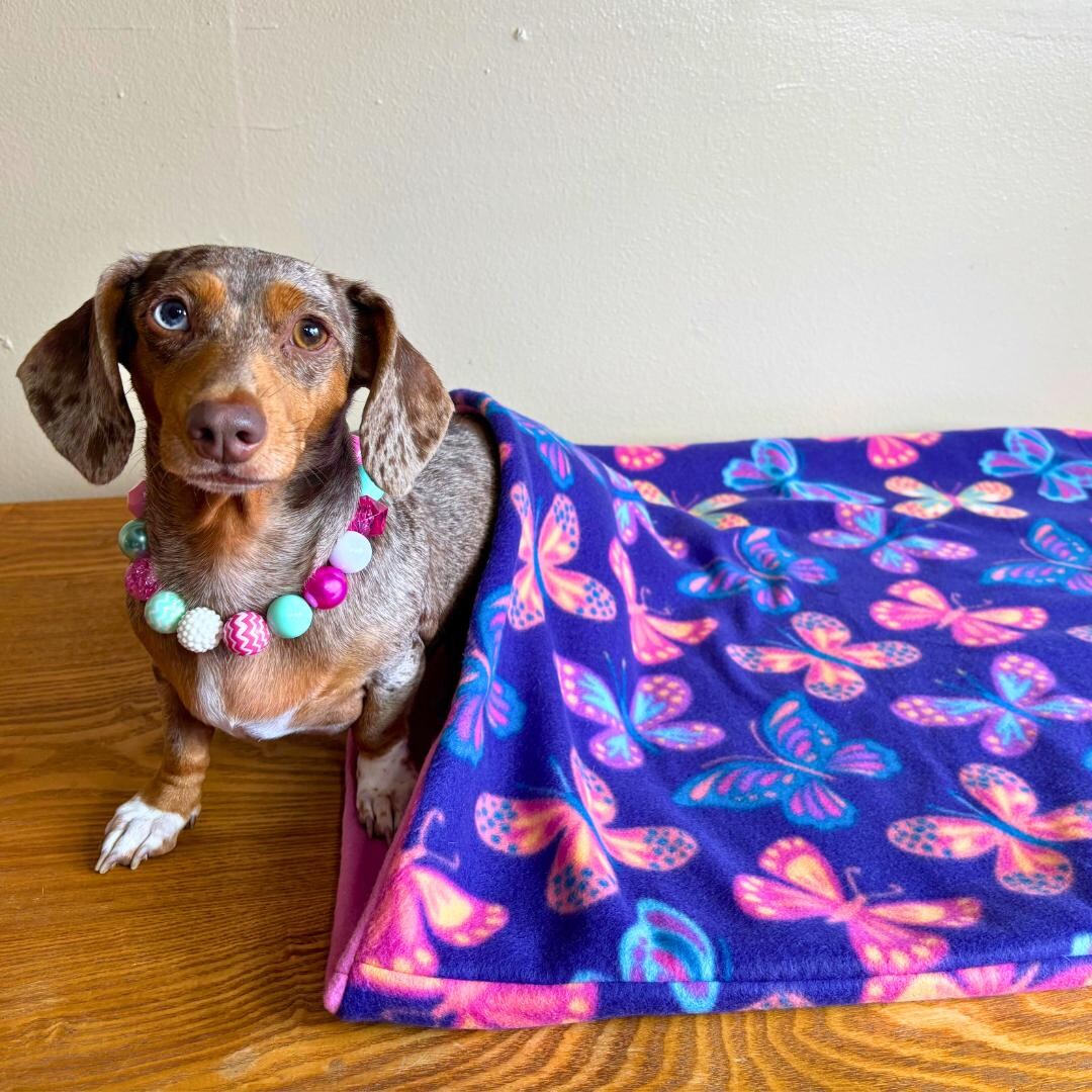 Butterflies Pet Snuggle Sack, Burrow Bag, Sleeping Bag, Snuggle Bag - Etsy