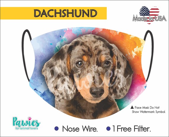 Dachshund Tri Merle et Tan Face Mask Made in USA Filter | Etsy