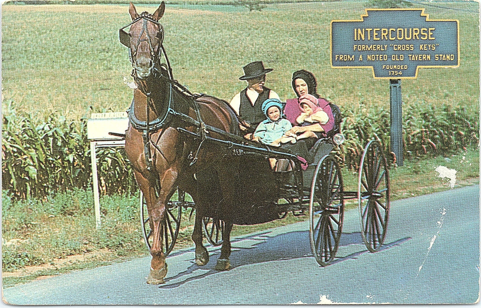 Vintage Posted Postcard Amish Family Horse & Buggy Intercourse ...