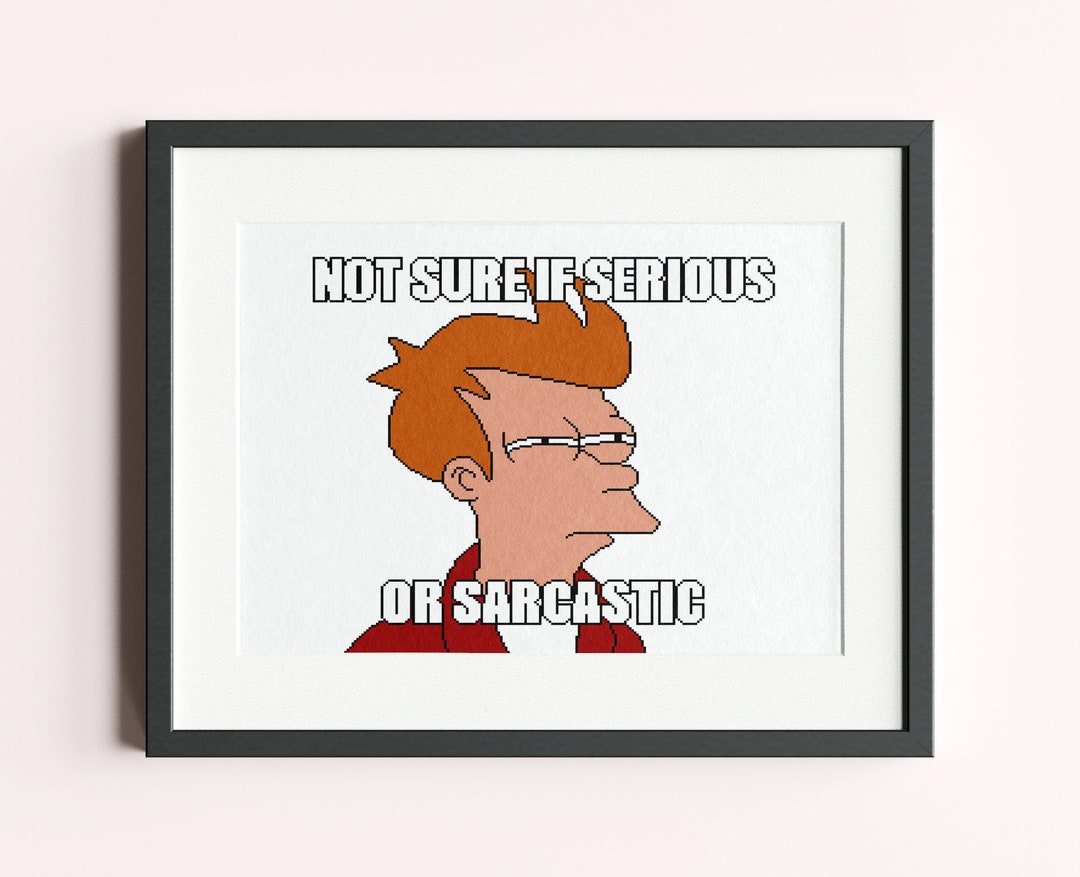 Not Sure If Serious... Meme Cross Stitch Pattern - Etsy
