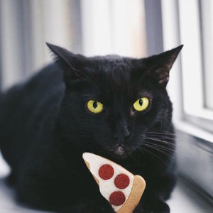 Catnip Pizza Cat Toy - Etsy