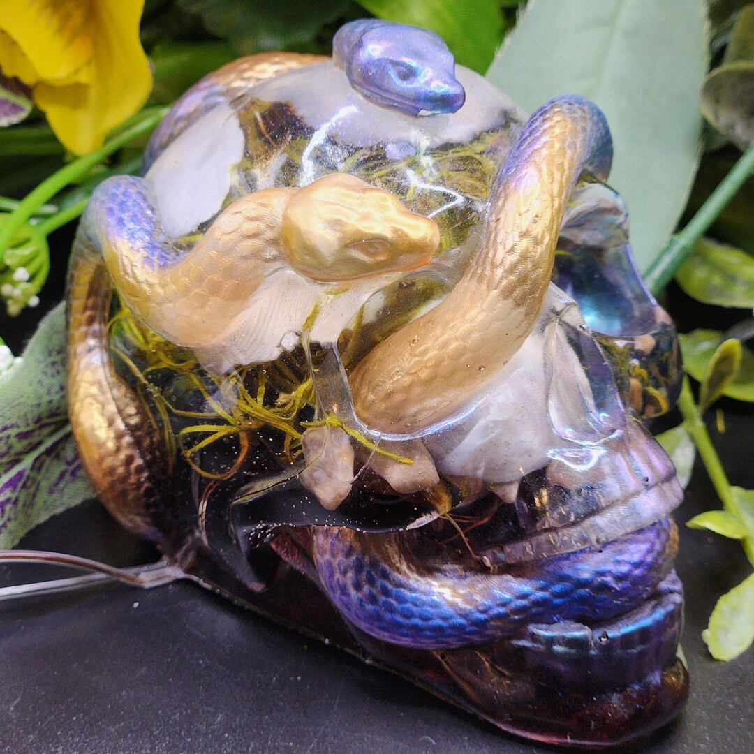 Snakes and Skull Lights - Etsy