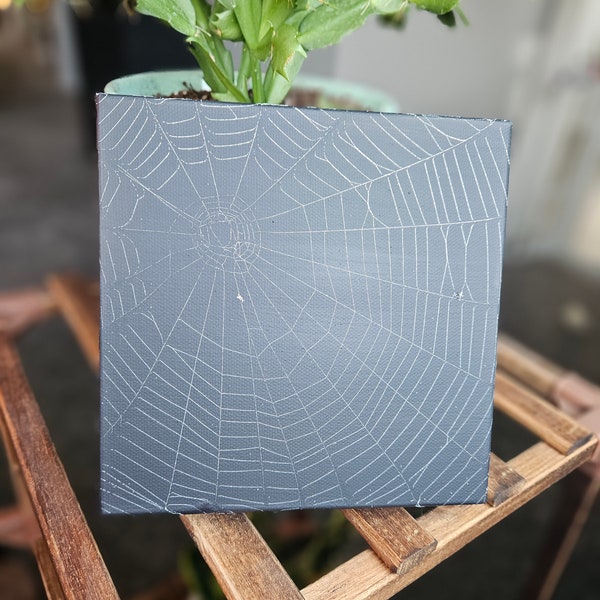 Preserved Spider Web - Etsy