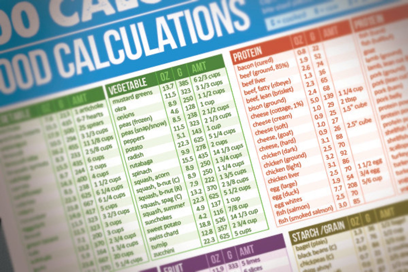 100 Calorie Digital Food Calcuations Chart For Nutrition | Etsy