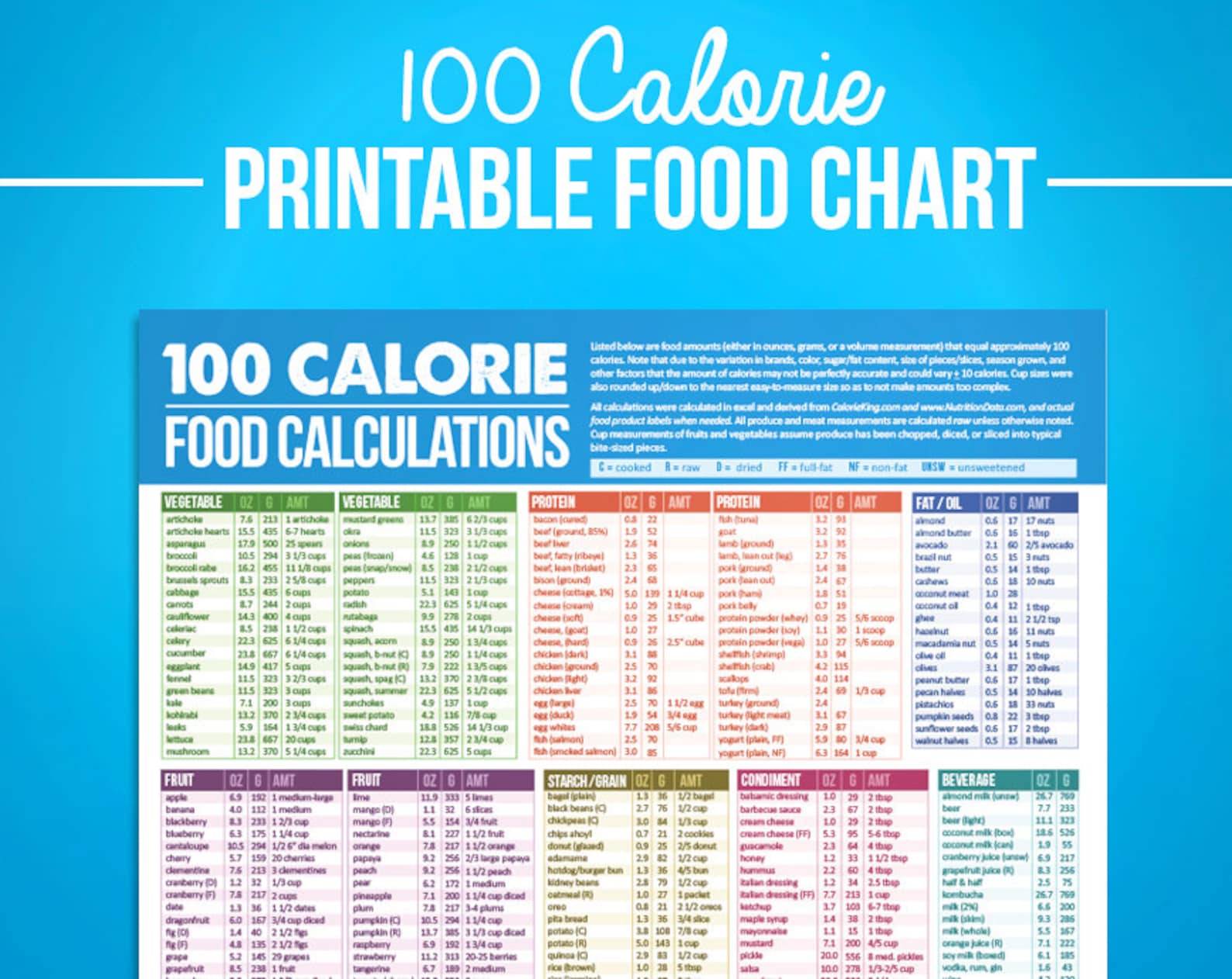 100 Calorie Digital Food Calcuations Chart for Nutrition - Etsy Canada