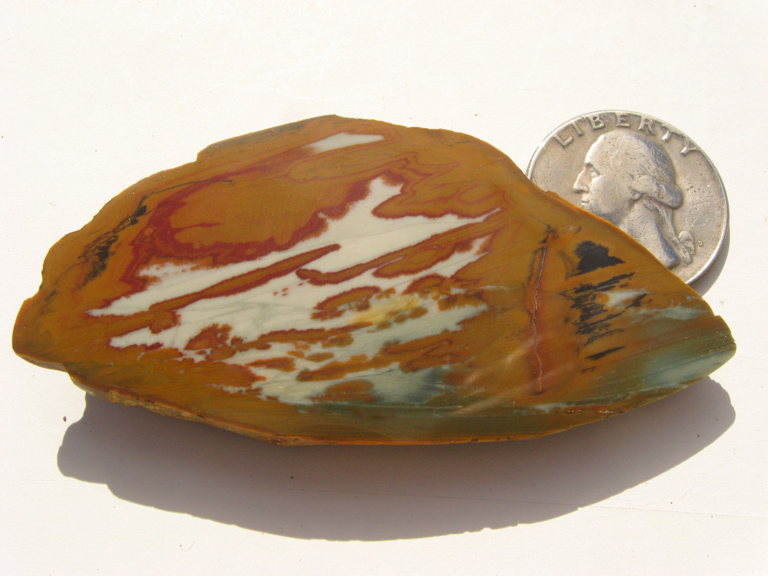 Polished Owyhee Picture Jasper Slab 76x35x8.6mm Owyhee - Etsy