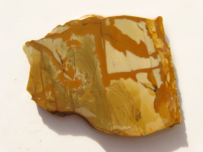 Owyhee Picture Jasper Rough Slab (71x61x5.7mm) Owyhee Jasper Slab ...