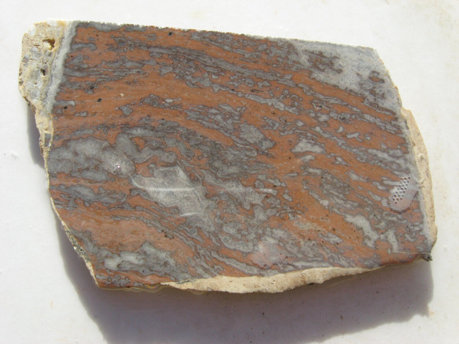 Rhyolite Slab Brownish Orange and Gunmetal Grey Lapidary Slab - Etsy