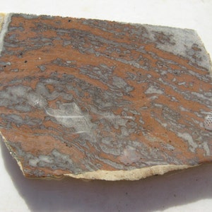 Rhyolite Slab Brownish Orange and Gunmetal Grey Lapidary Slab Jasper ...