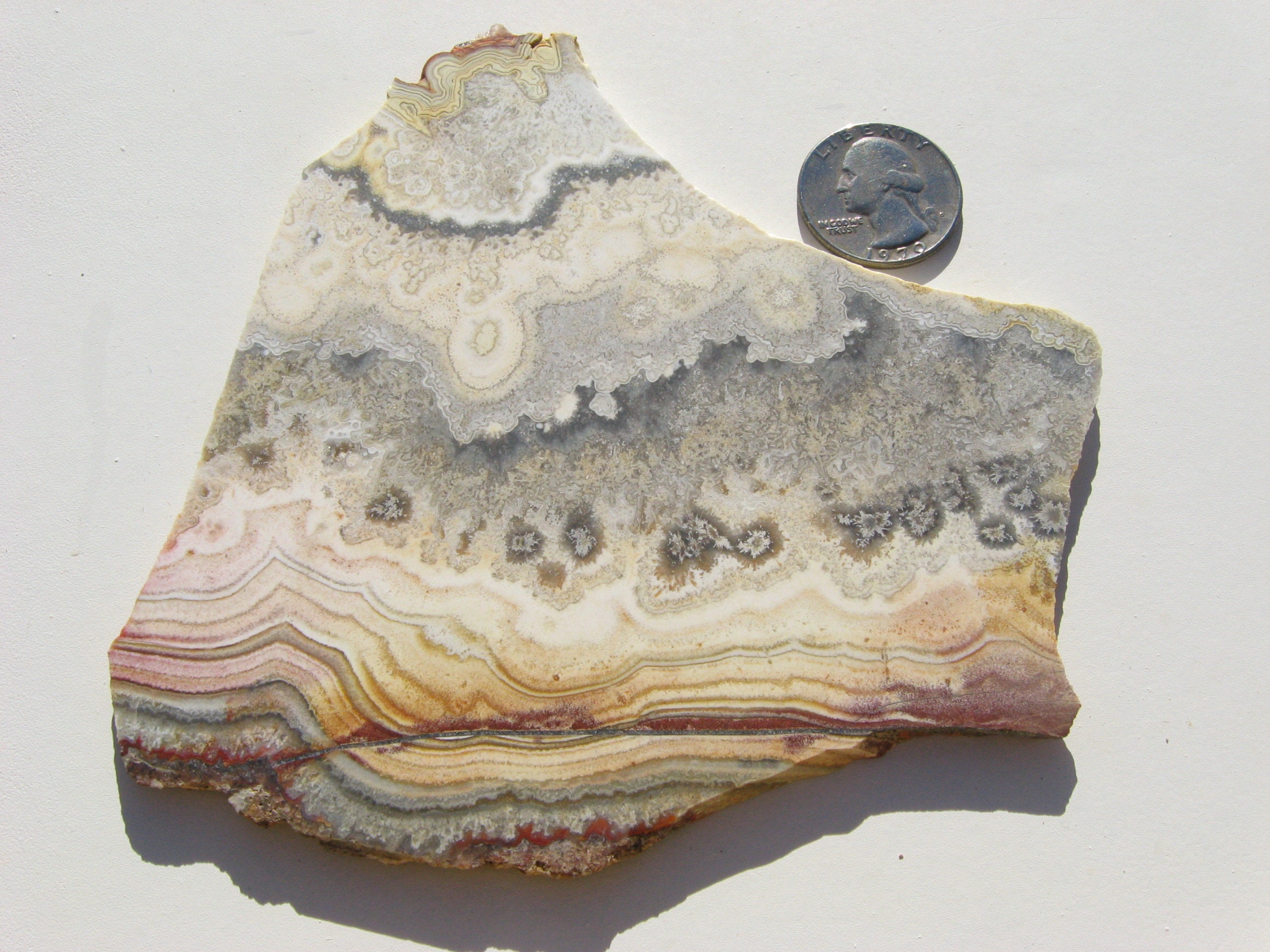 Thin Silver Lace Onyx Lapidary Slab (125x122x4.1mm) Onyx Focal Stone ...