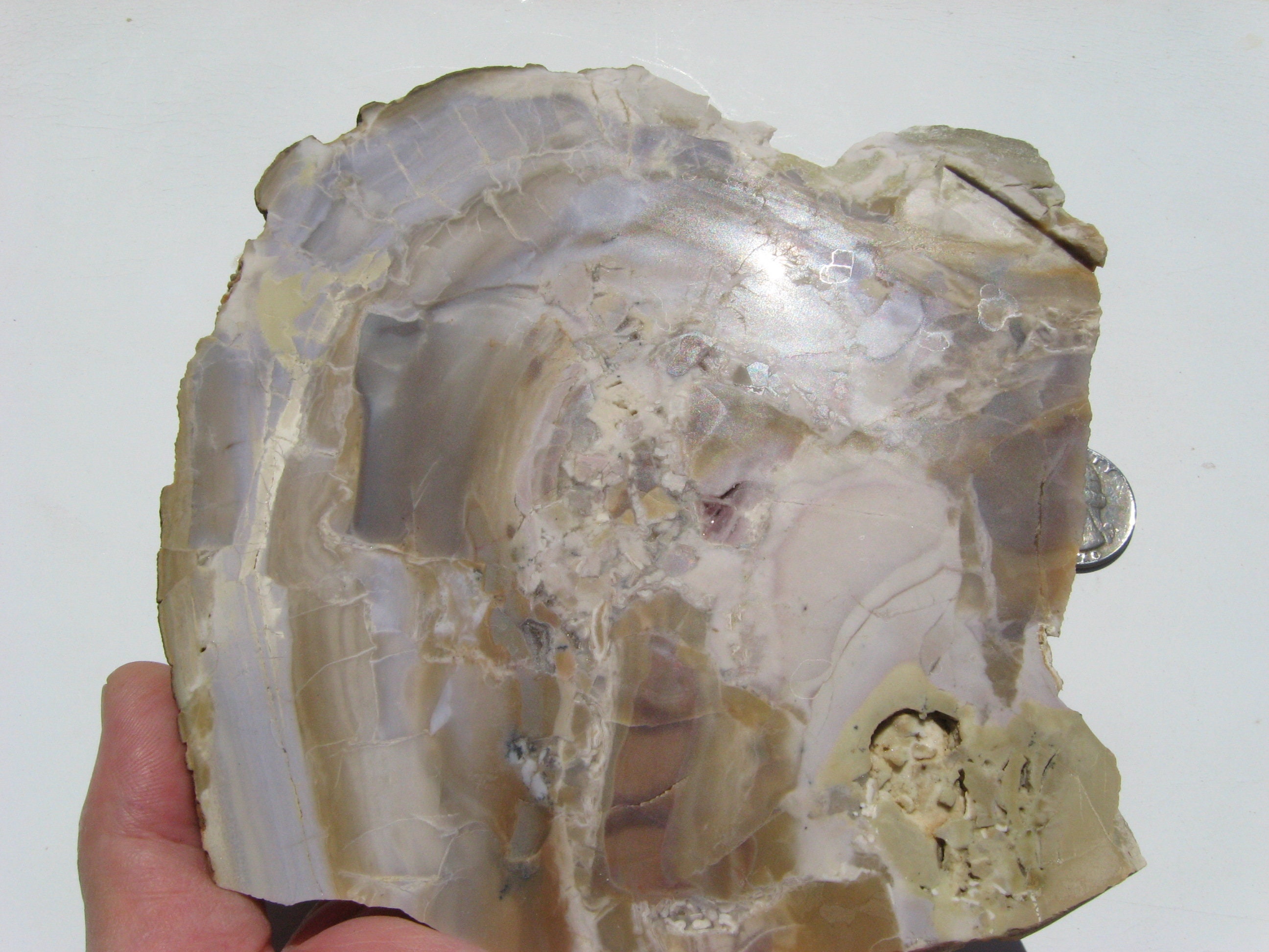 Opalized Purple Burro Creek Pastelite Jasper Slab - Etsy