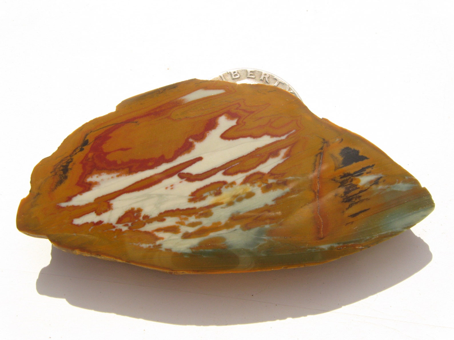 Polished Owyhee Picture Jasper Slab (76x35x8.6mm) Owyhee Jasper Slab ...