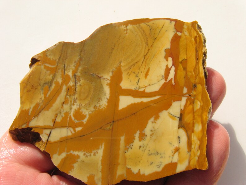 Owyhee Picture Jasper Rough Slab (71x61x5.7mm) Owyhee Jasper Slab ...