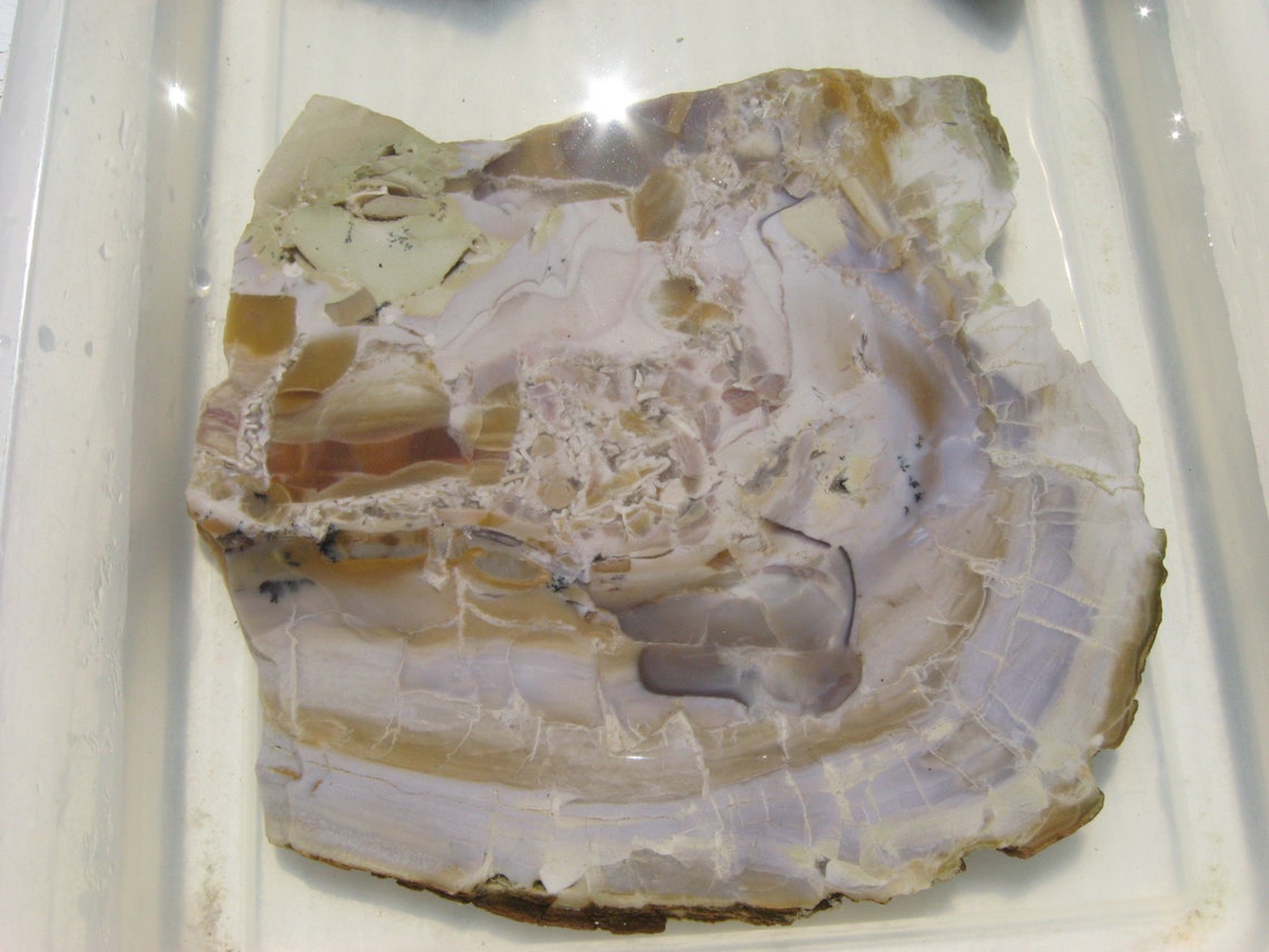 Opalized Purple Burro Creek Pastelite Jasper Slab - Etsy