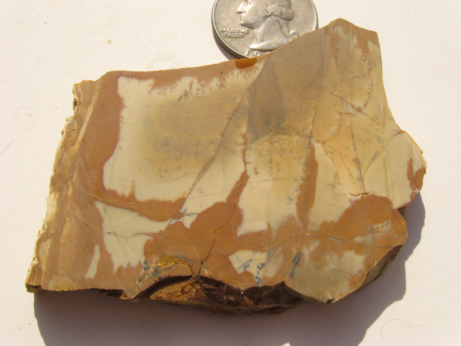 Owyhee Picture Jasper Rough Slab 70x62x6.7mm Owyhee Jasper | Etsy