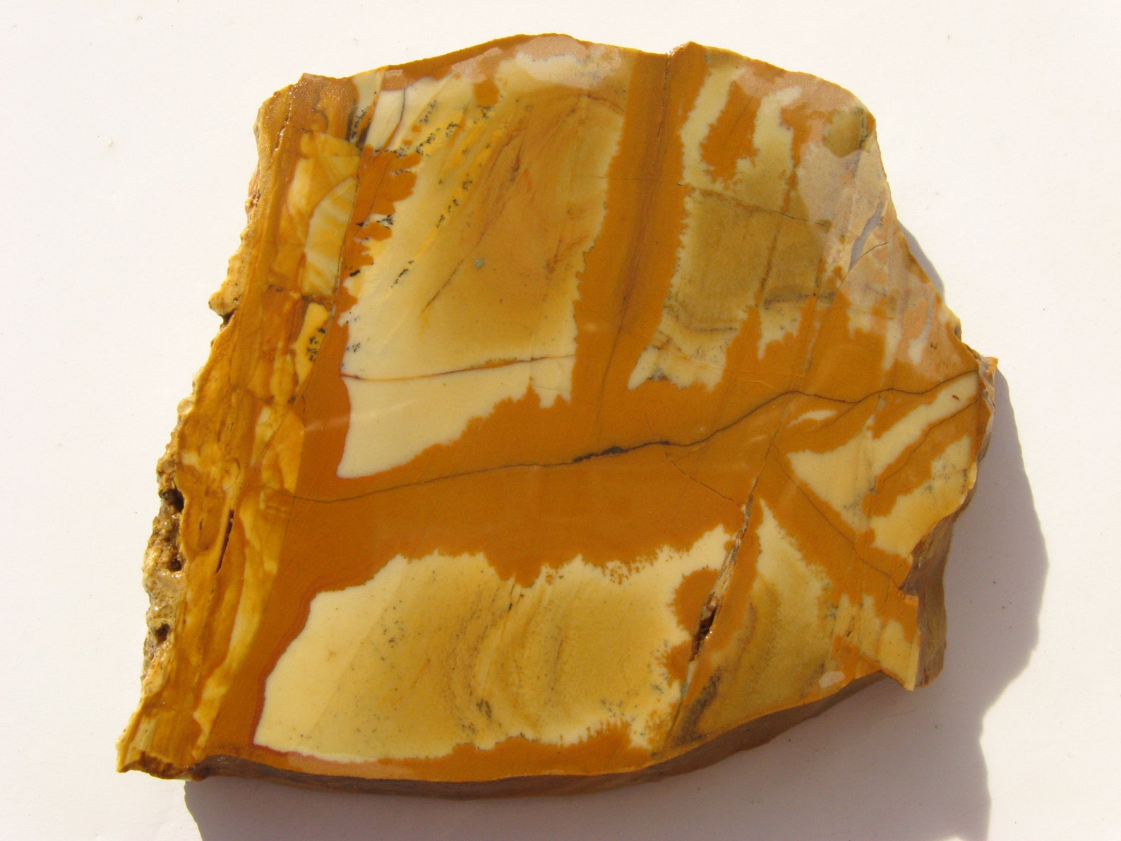 Owyhee Picture Jasper Rough Slab (65x60x7mm) Owyhee Jasper Slab Owyhee ...