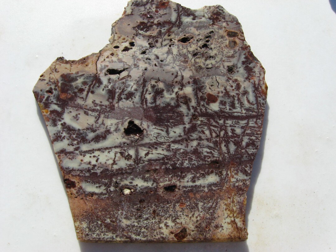 Sonora Dendritic Rhyolite Slab Brown Rusty Red Dendrites Sonoran ...