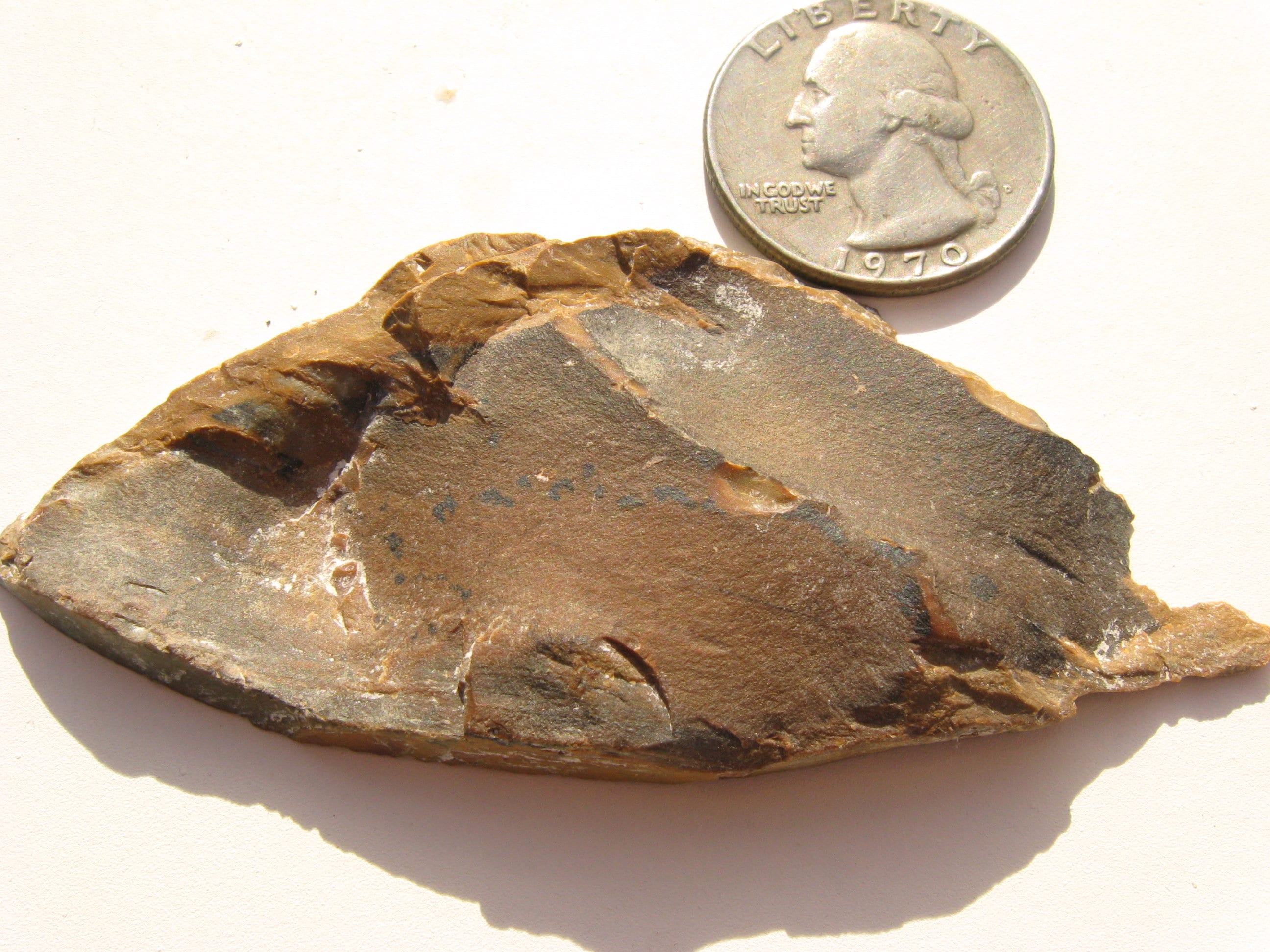 Polished Owyhee Picture Jasper Slab (76x35x8.6mm) Owyhee Jasper Slab ...