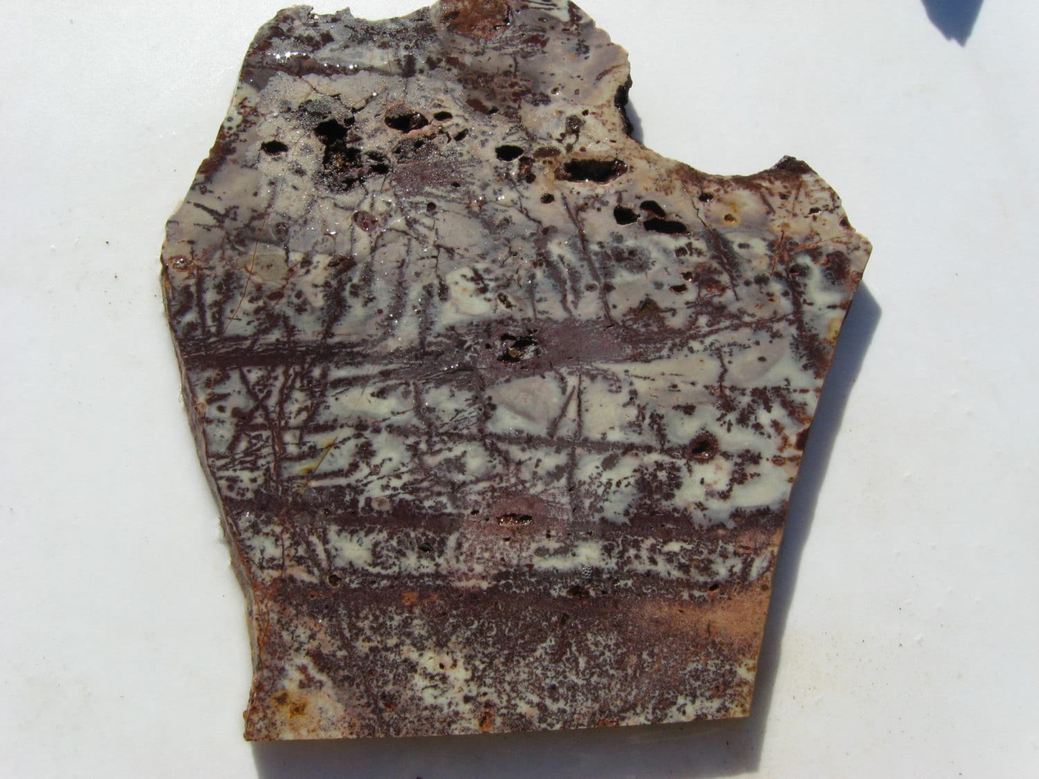 Sonora Dendritic Rhyolite Slab Brown Rusty Red Dendrites - Etsy