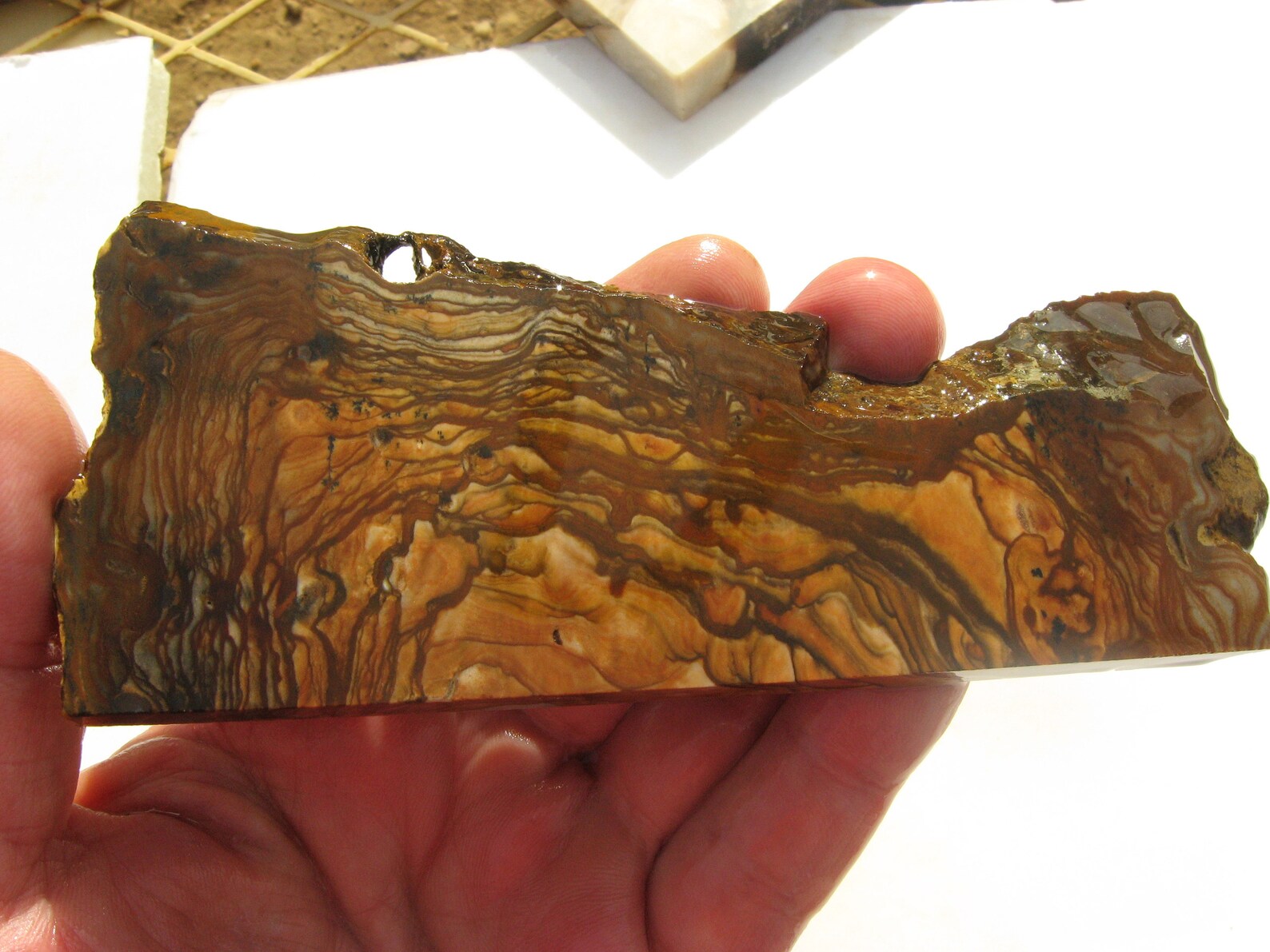 Dendritic Biggs Jasper Slab (132x62x7.4mm) Deschutes Jasper Slab Biggs ...