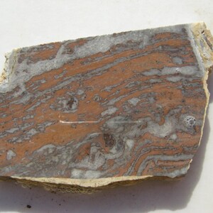 Rhyolite Slab Brownish Orange and Gunmetal Grey Lapidary Slab Jasper ...