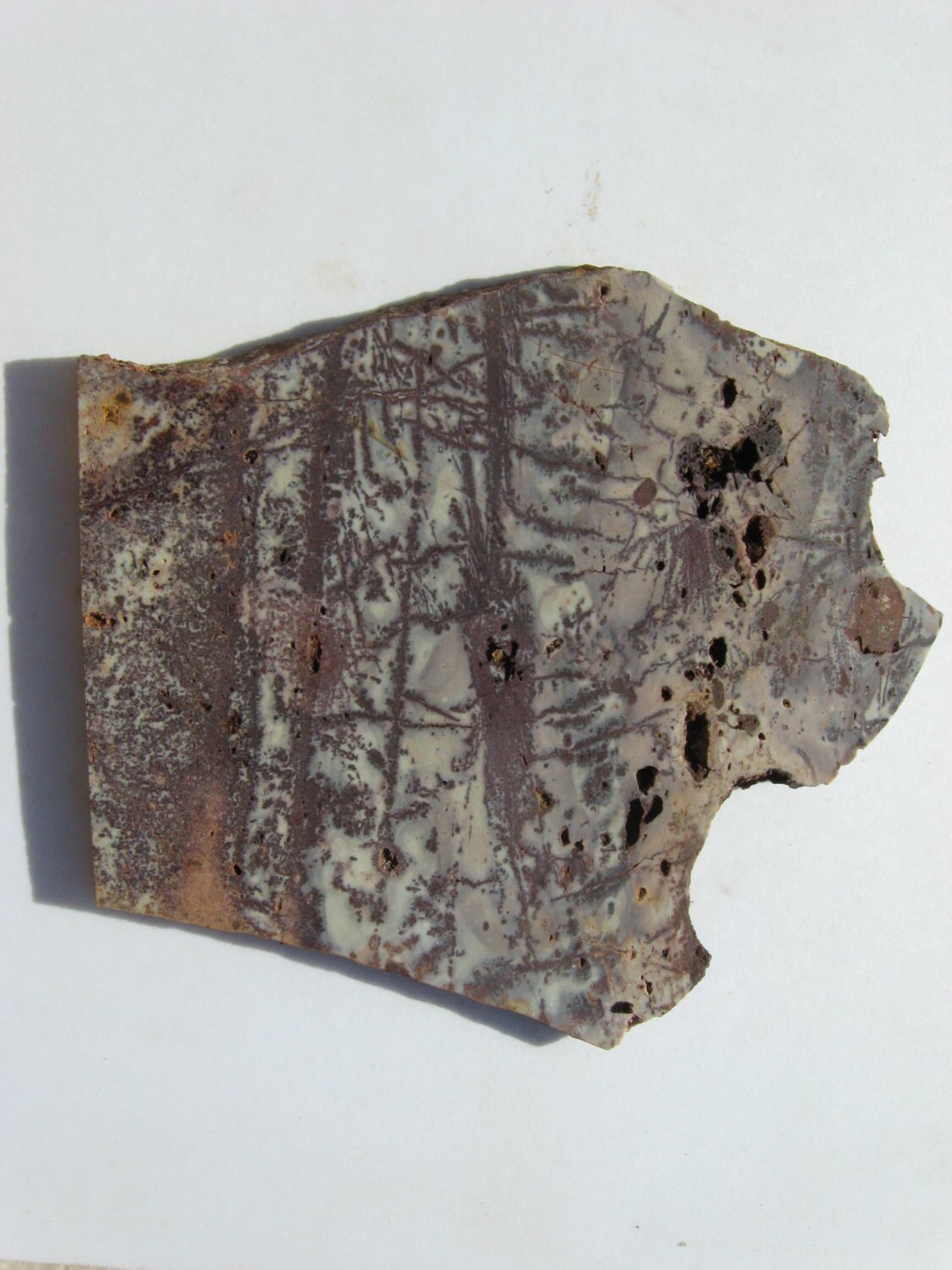 Sonora Dendritic Rhyolite Slab Brown Rusty Red Dendrites - Etsy