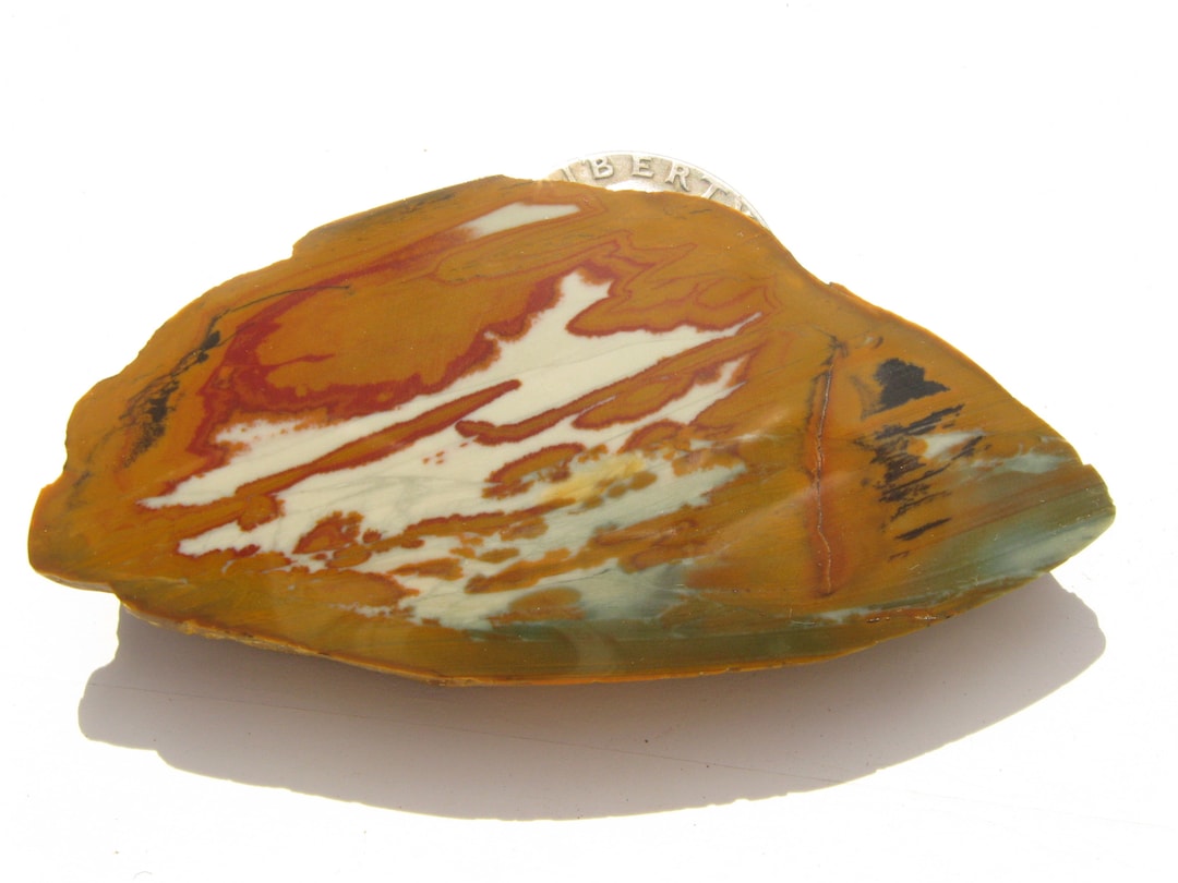 Polished Owyhee Picture Jasper Slab (76x35x8.6mm) Owyhee Jasper Slab ...