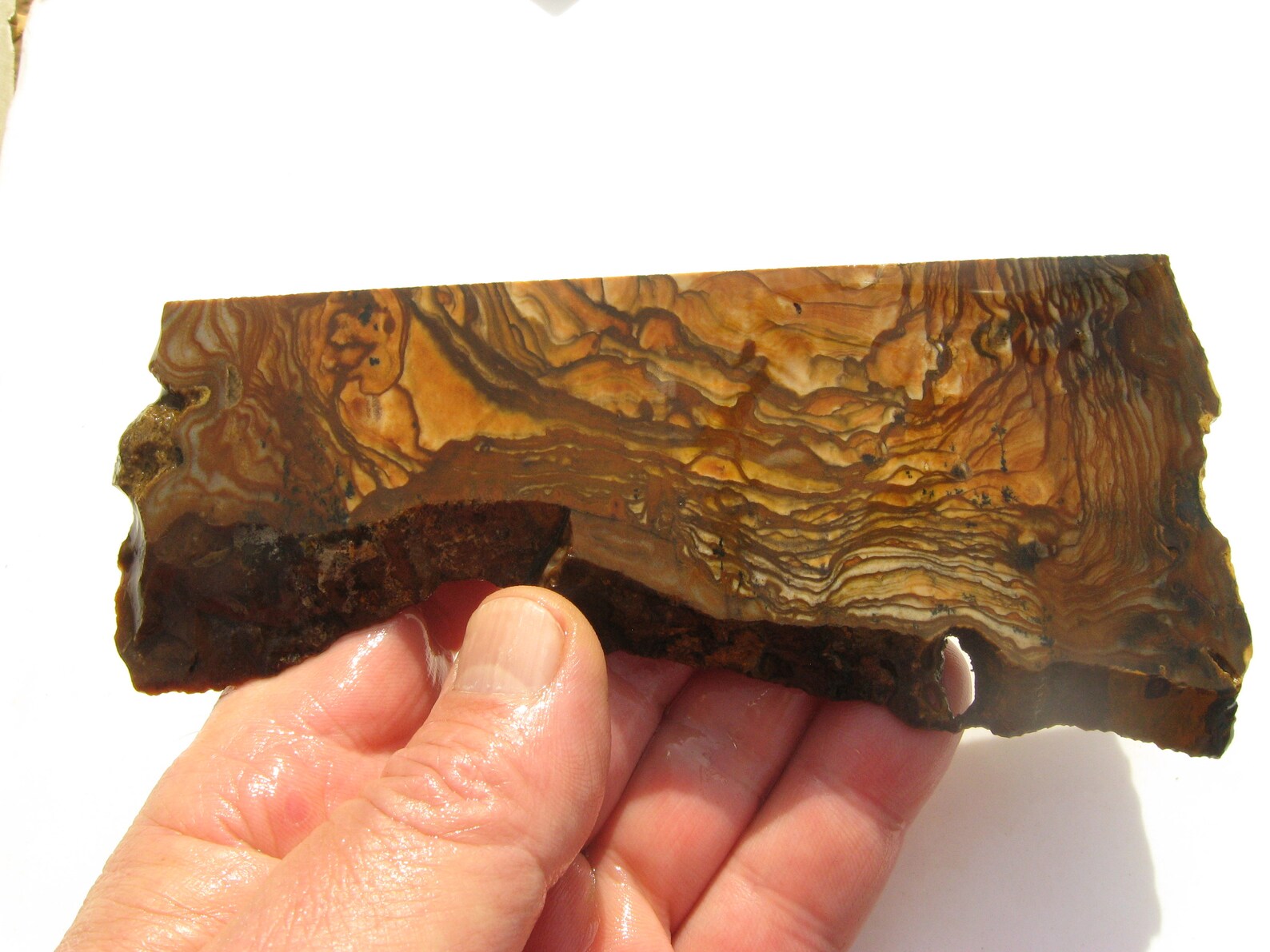 Dendritic Biggs Jasper Slab (132x62x7.4mm) Deschutes Jasper Slab Biggs ...