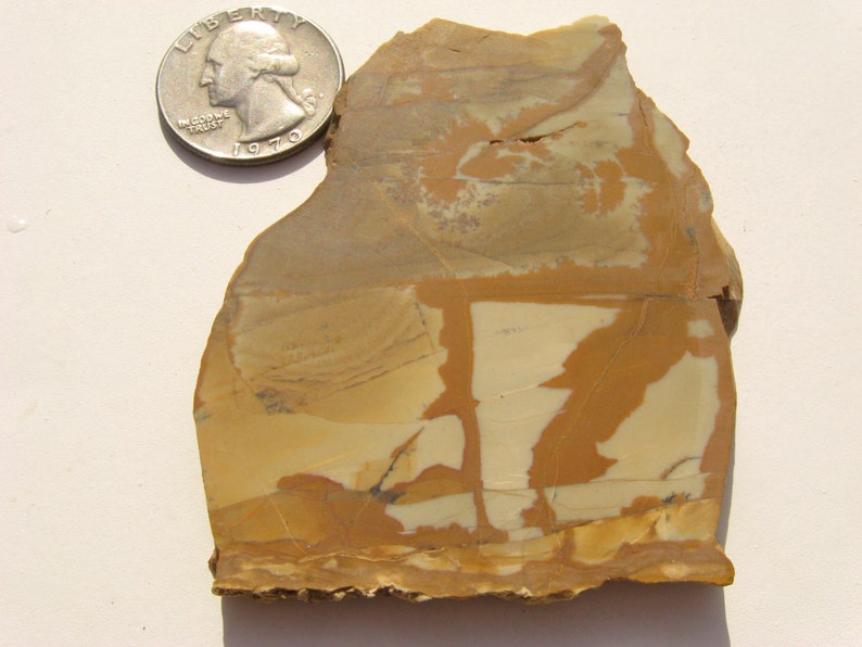 Owyhee Picture Jasper Rough Slab (71x61x5.7mm) Owyhee Jasper Slab ...