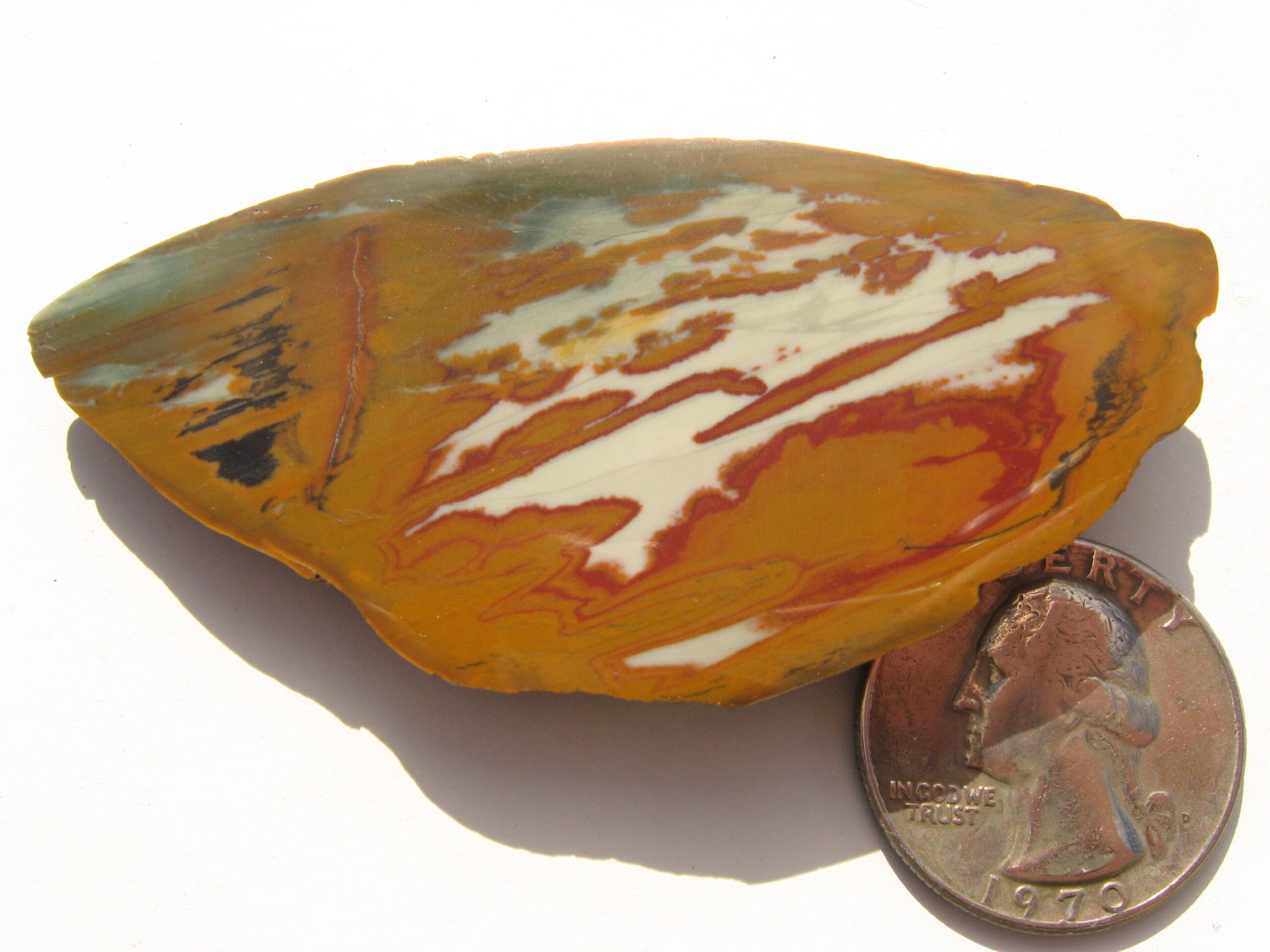 Polished Owyhee Picture Jasper Slab (76x35x8.6mm) Owyhee Jasper Slab ...