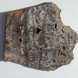 Sonora Dendritic Rhyolite Slab Brown Rusty Red Dendrites Sonoran ...