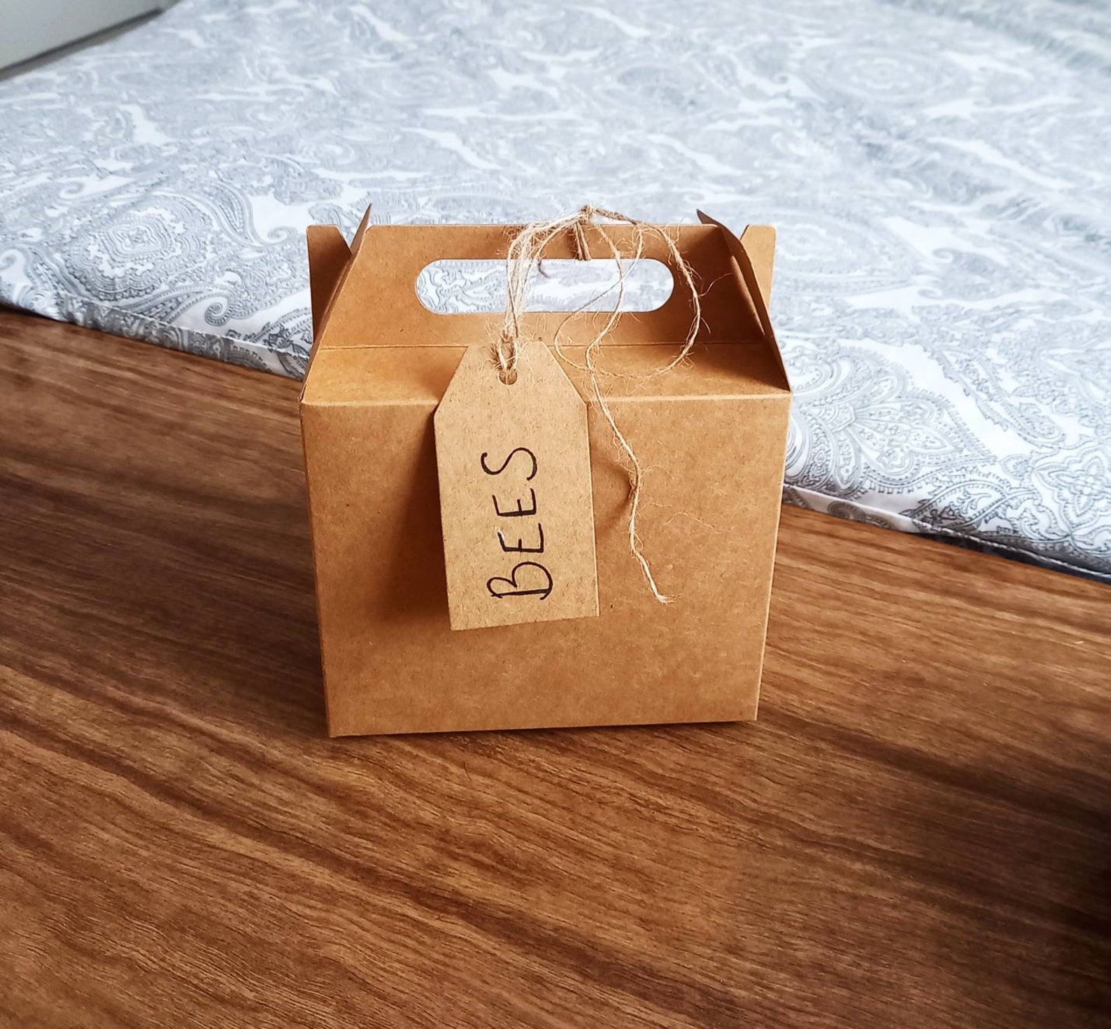 BEES Bundle Box gift Box Including Bee Tote Bag 2 Bee - Etsy