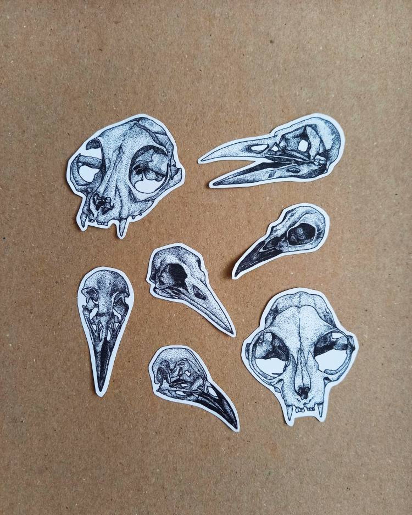 Predator and Prey Cat Skull and Bird Skull Stickers - Etsy