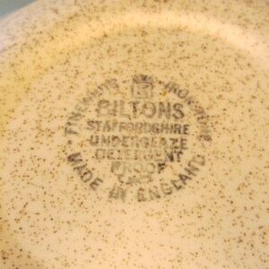 BILTONS - Stoneware Set of One Large Salad/dessert Serving Bowl and Six ...