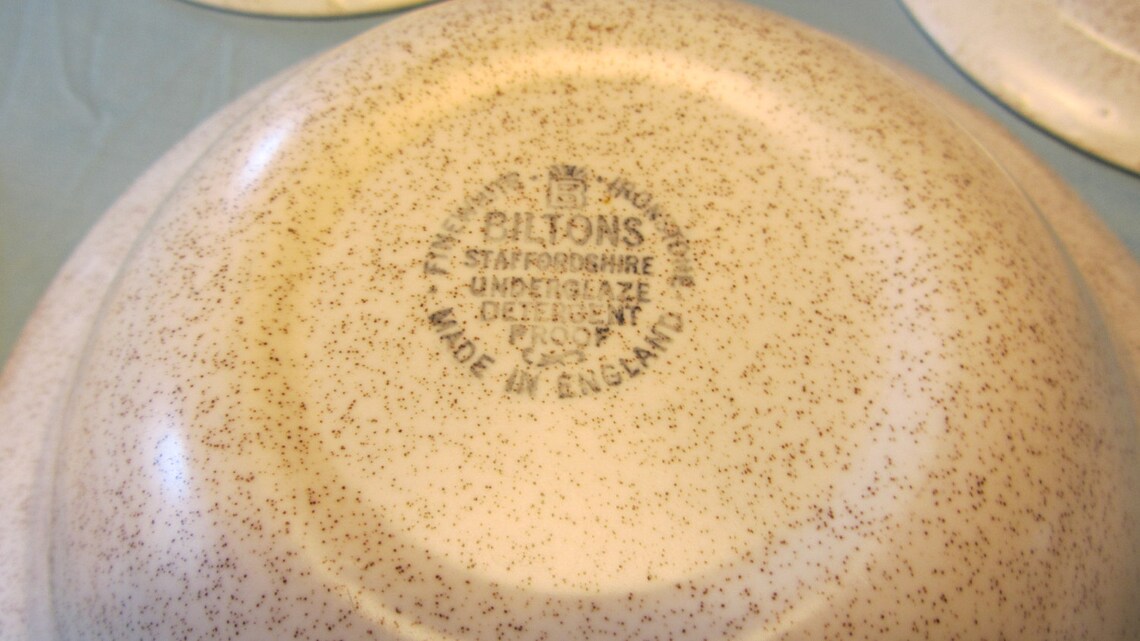 BILTONS Stoneware Set of One Large Salad/dessert Serving | Etsy