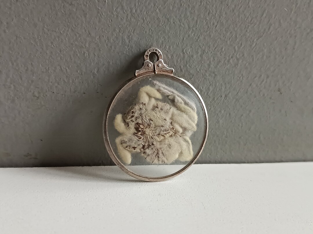 Antique French Sterling Silver Pendant Reliquary Flower Under Glass ...