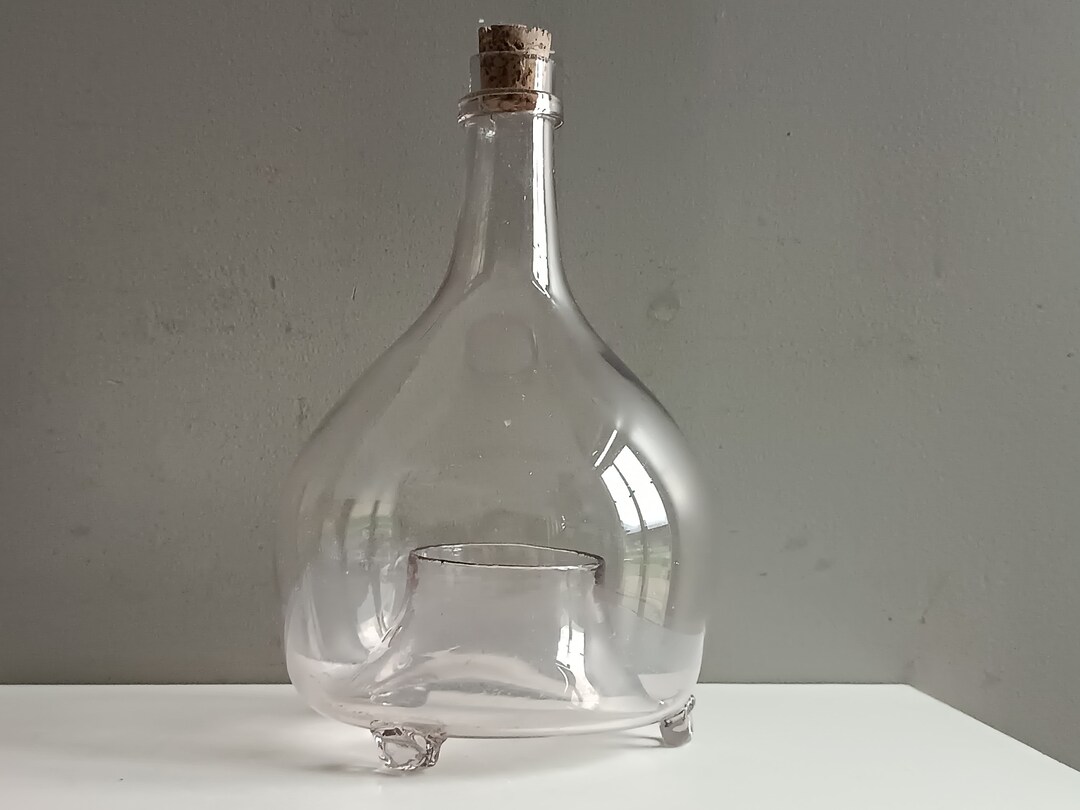 Antique French Large Hand Blown Glass gobe-mouches Gobble Catch ...