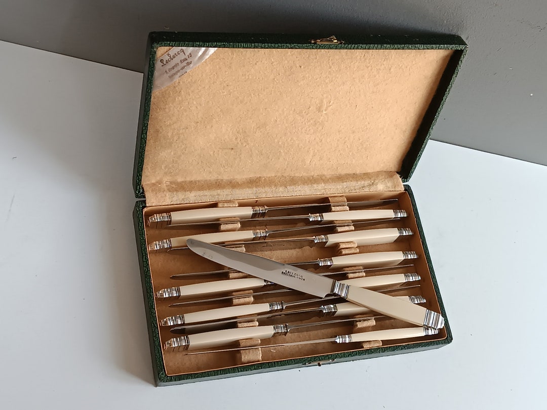French Antique 12 Knives With Solid Silver Ferrules and Ivory-colored ...