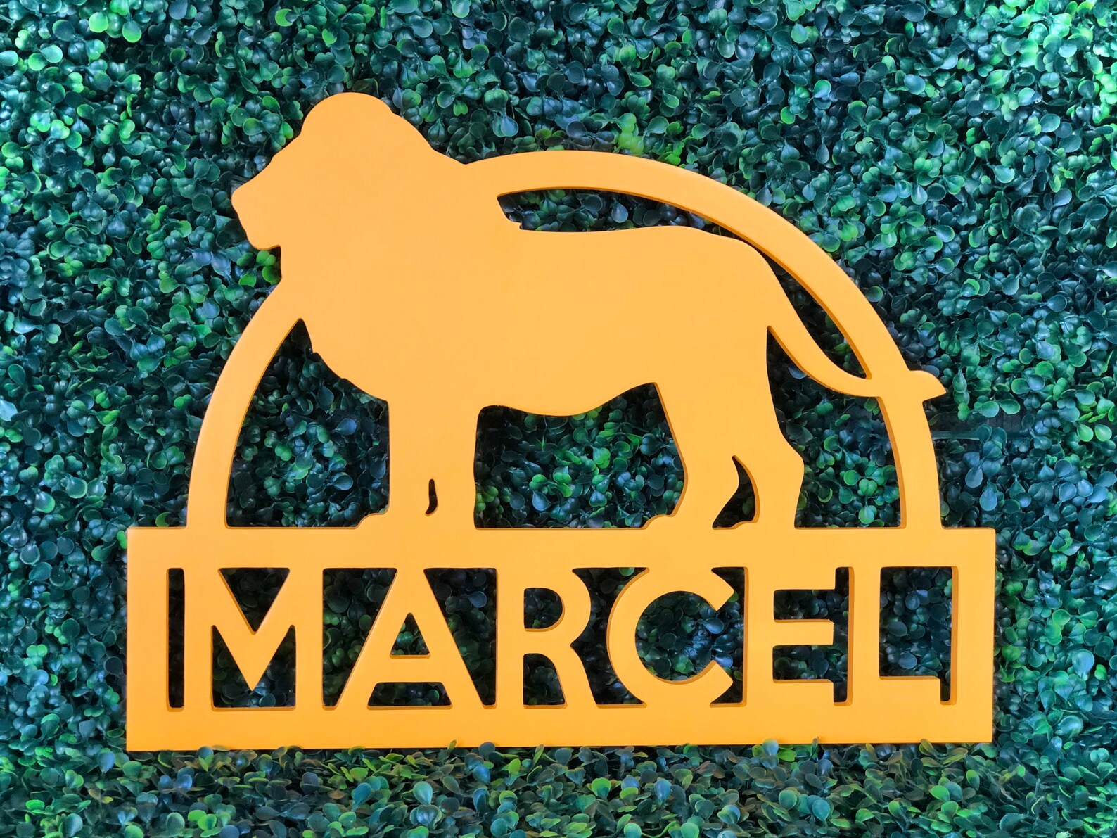 Lion Name Sign Kids Bedroom Door Hanger Safari Animal | Etsy