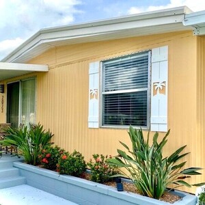 Weatherproof Palm Tree Shutter for Beach House, PVC Exterior Window ...