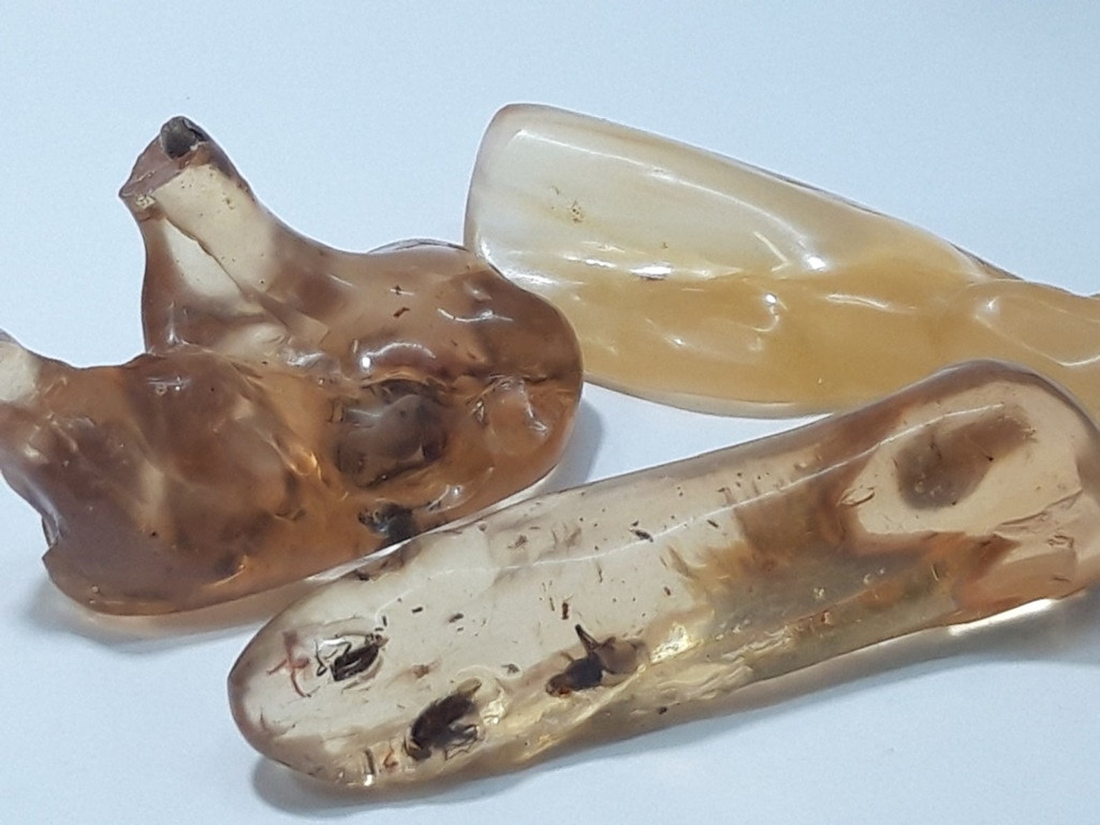 Natural Baltic Amber With Insects Genuine Baltic Amber With - Etsy