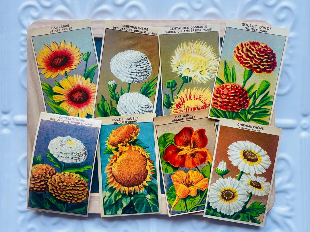 Vintage French Flower Seed Packet Labels Set of 8 - Etsy