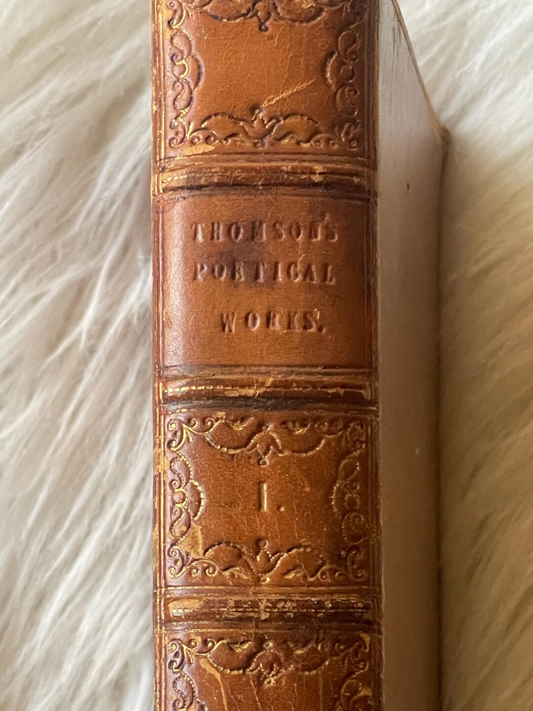 1830 the Poetical Works of James Thomson Volume I Full Leather Binding ...