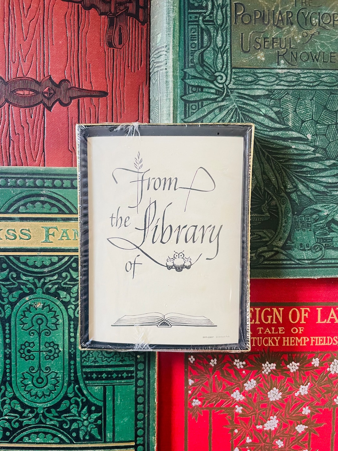 Vintage Antioch Bookplates From the Library of Owls Open Book New Old ...