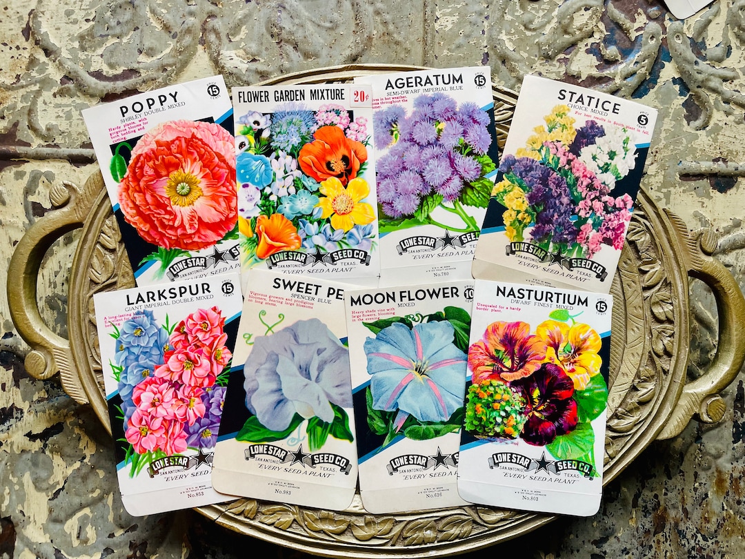 Vintage Flower Seed Packet Collection Set of 8 - Etsy