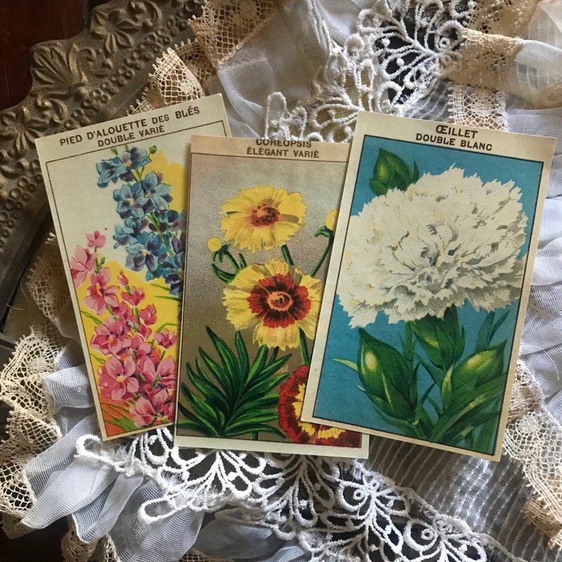 Seed Labels - Etsy